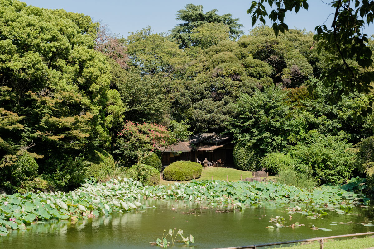 Ueno แนะนำสถานที่ท่องเที่ยวและแหล่งชอปปิ้งย่านอุเอโนะ - Go!Graph Japan