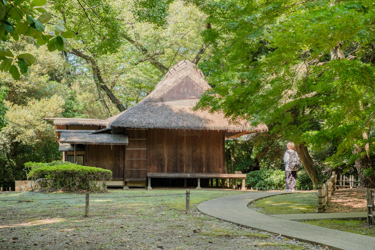Ueno แนะนำสถานที่ท่องเที่ยวและแหล่งชอปปิ้งย่านอุเอโนะ - Go!Graph Japan
